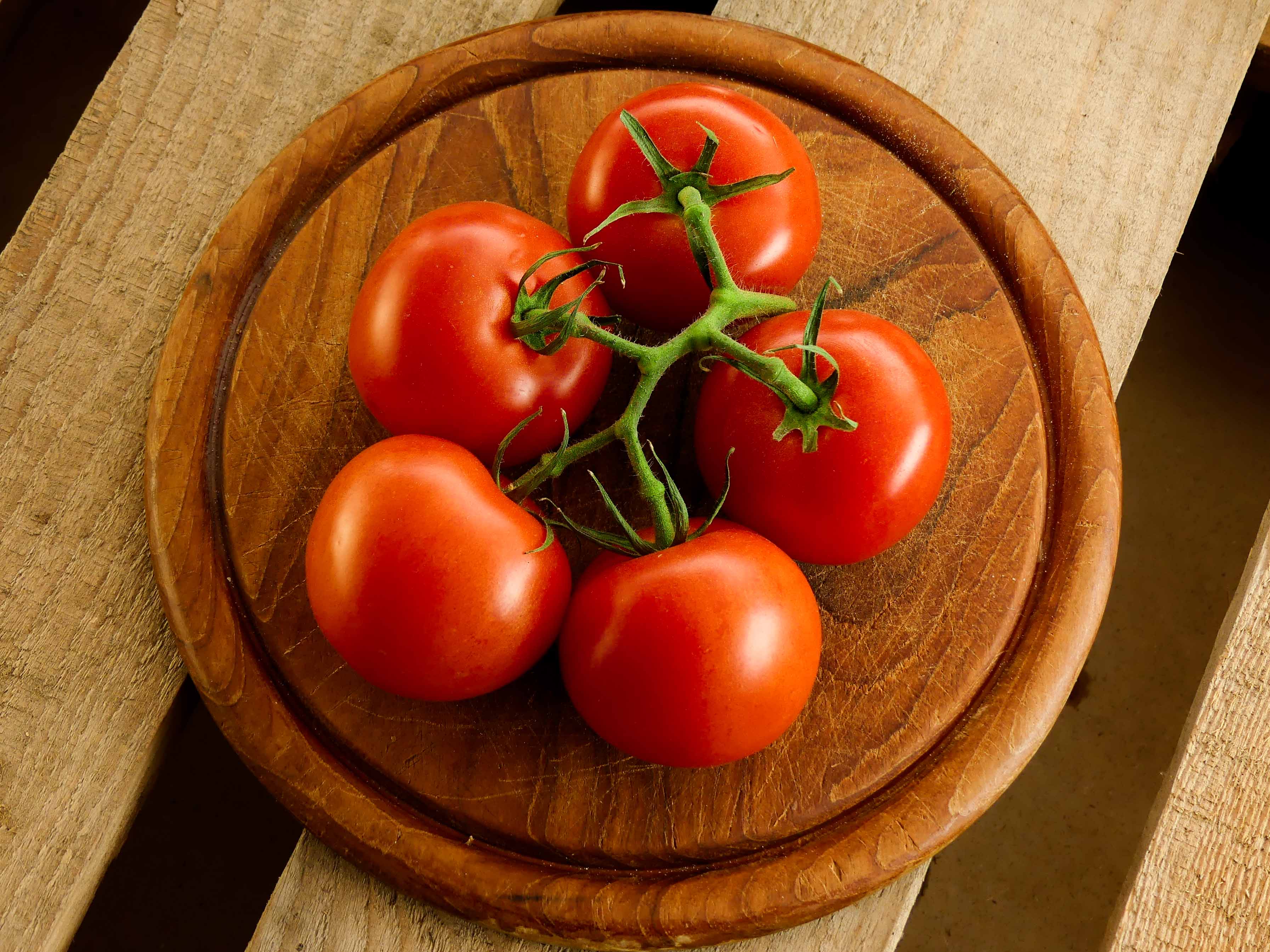Strauchtomaten | Paprika & Tomaten | Gemüse | Obst & Gemüse | Speisekammer