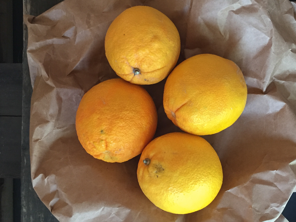 Orangen | Zitrusfrüchte | Obst | Obst & Gemüse | Speisekammer